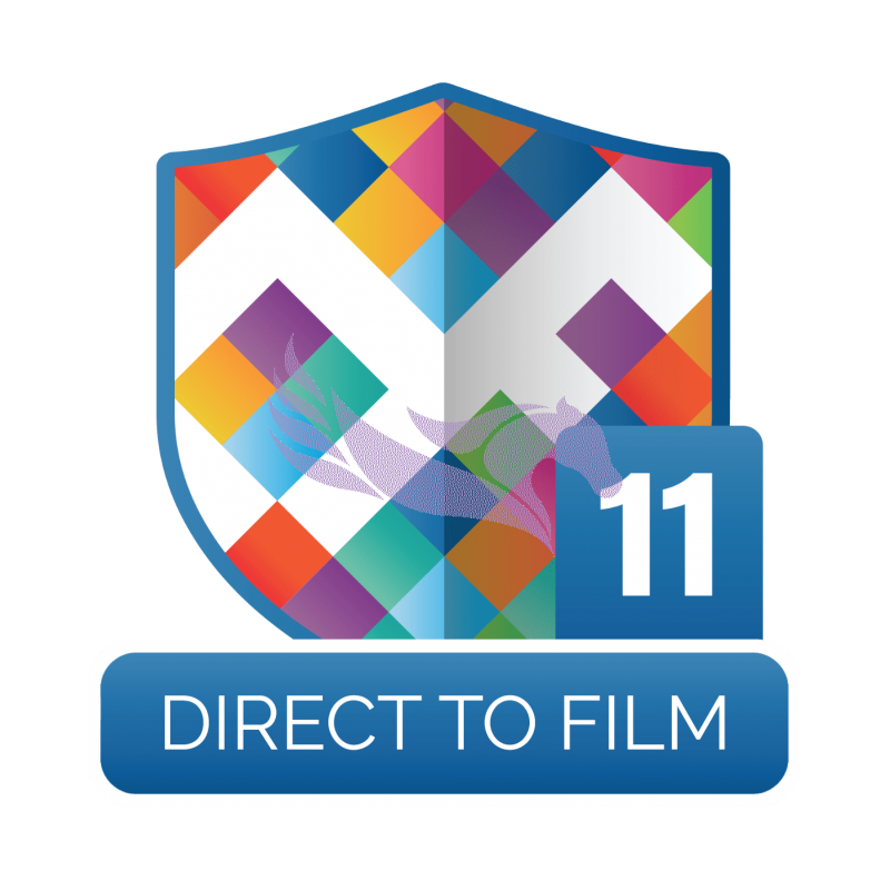 RIP CADlink 11 Profesjonalne oprogramowanie RIP dd druku UV, DTF, DTF